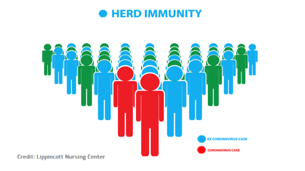 Herd Immunity: When will we reach herd immunity? And How does herd ...