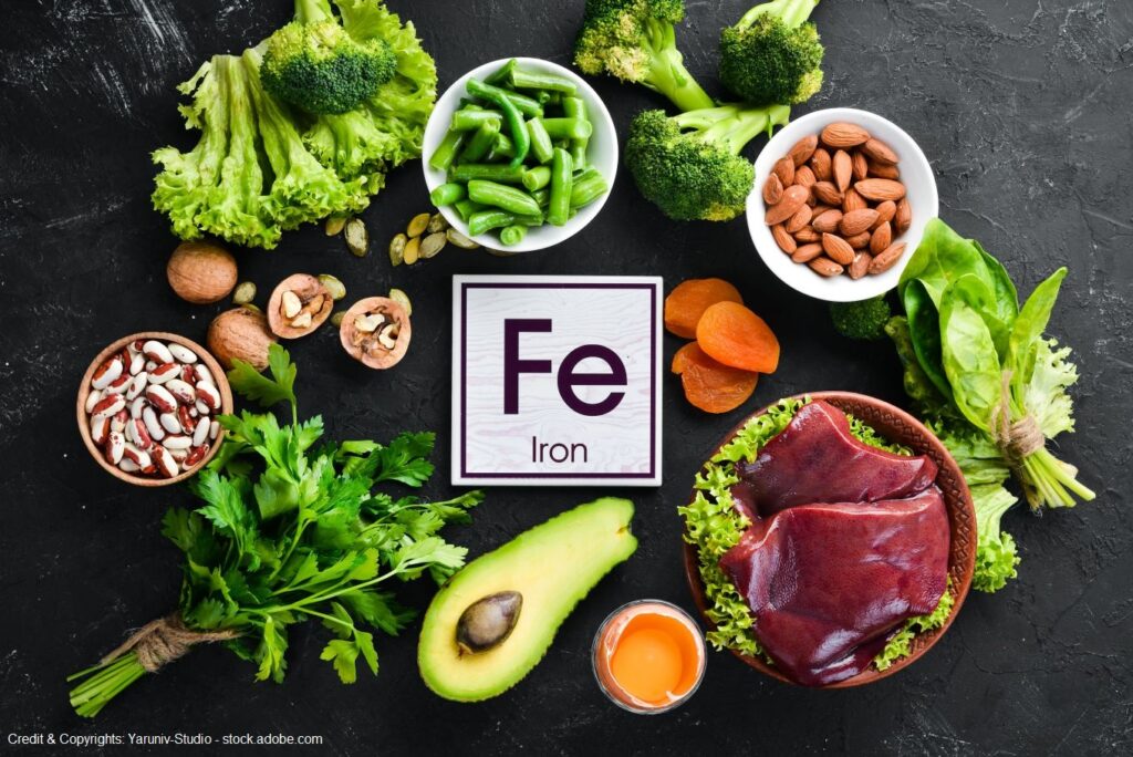 Recommendations on Iron Intake or Iron Supplementation for Women ...